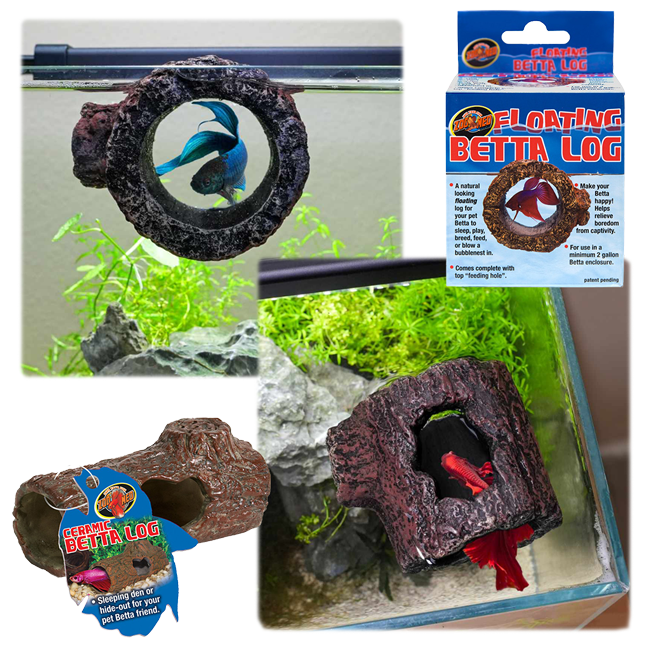 ZooMed Labs' Betta Supplies!